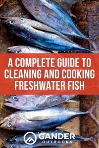 A Complete Guide to Cleaning and Cooking Freshwater Fish - Overton's