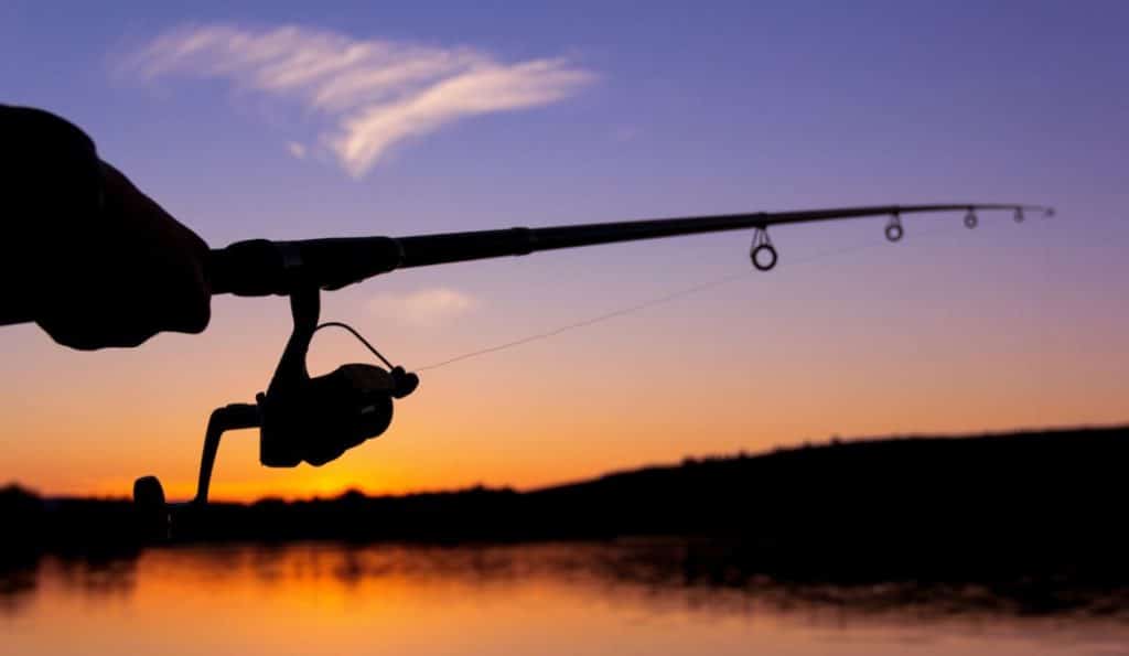 Everything You Need to Know about Fishing at Night - Overton's