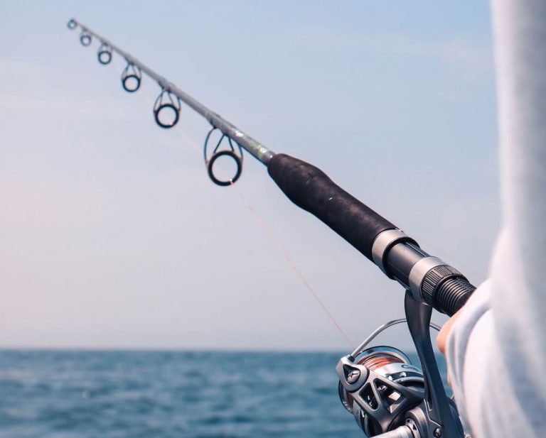 How to Clean Your Fishing Rod and Reel—Expert Tips to Make Them Last ...