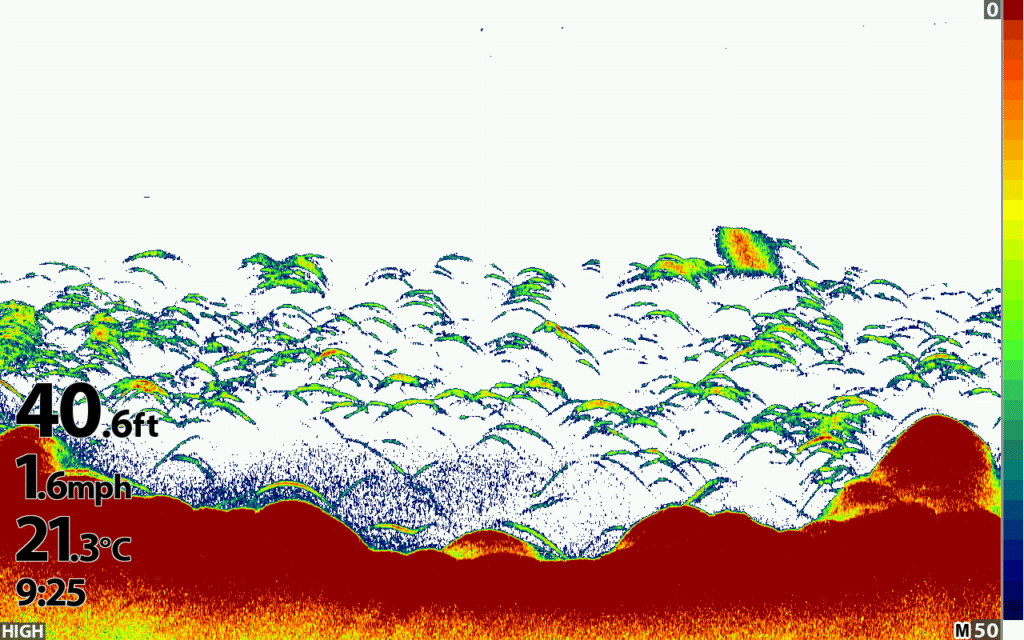 How to Choose the Right Boat Transducer - Overton's